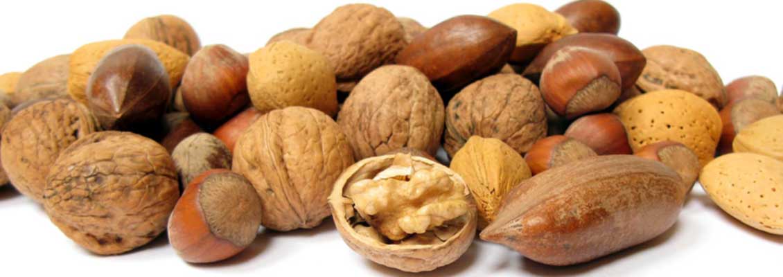 elmor seed counter, counting small items, sorting machines